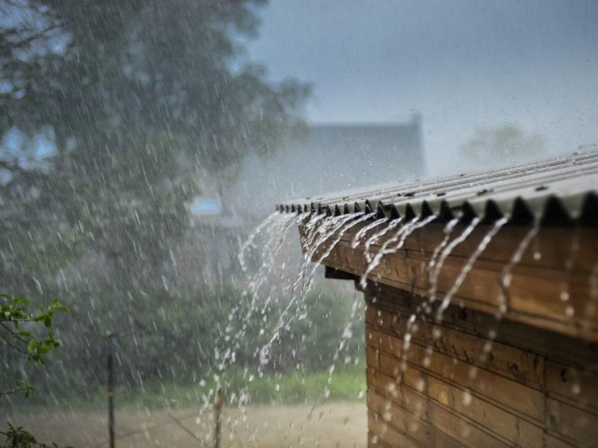Guardian Chimney Water Leak Florala Alabama (334) 749-9119